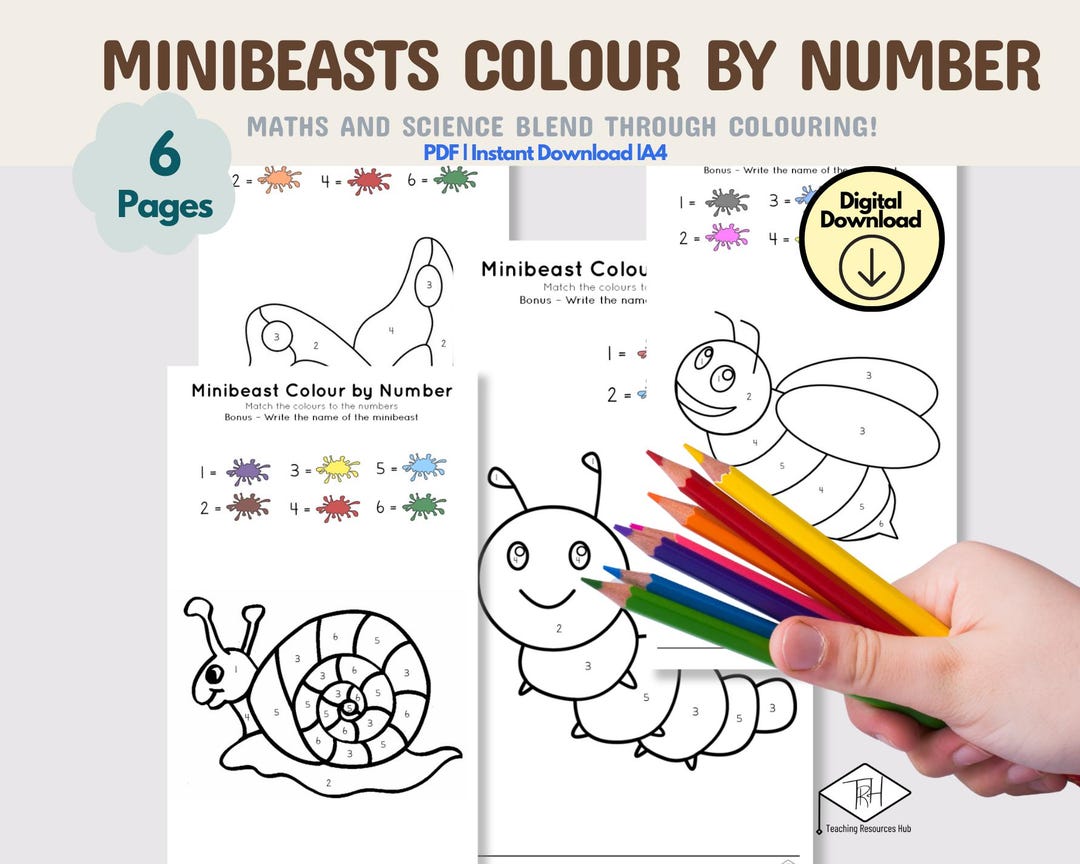 Minibeasts Colour by Number: Printable Maths Fun! Colorful Engaging ...