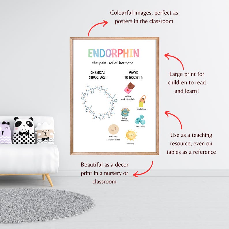 Endorphin Poster, Happy Chemicals Poster, Counselor Office Decor ...