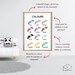 Colours Poster Rainbow, Printable Educational Playroom Posters, Boho ...
