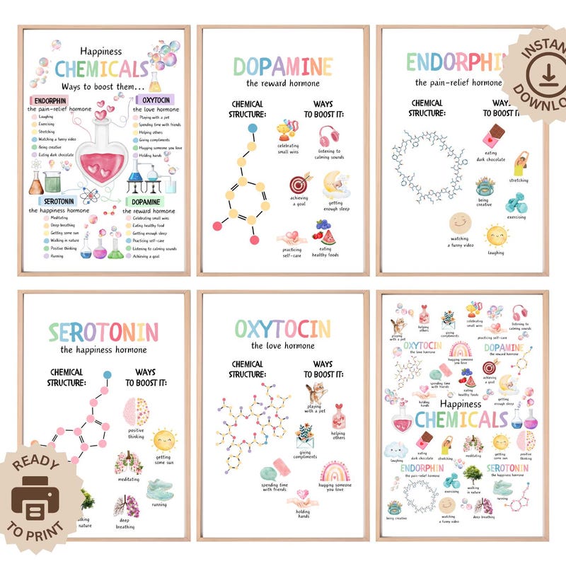 Classroom Dopamine Prints - Etsy