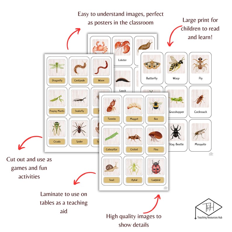 Minibeasts Toddler Flashcards Learning Pack - Montessori Materials ...
