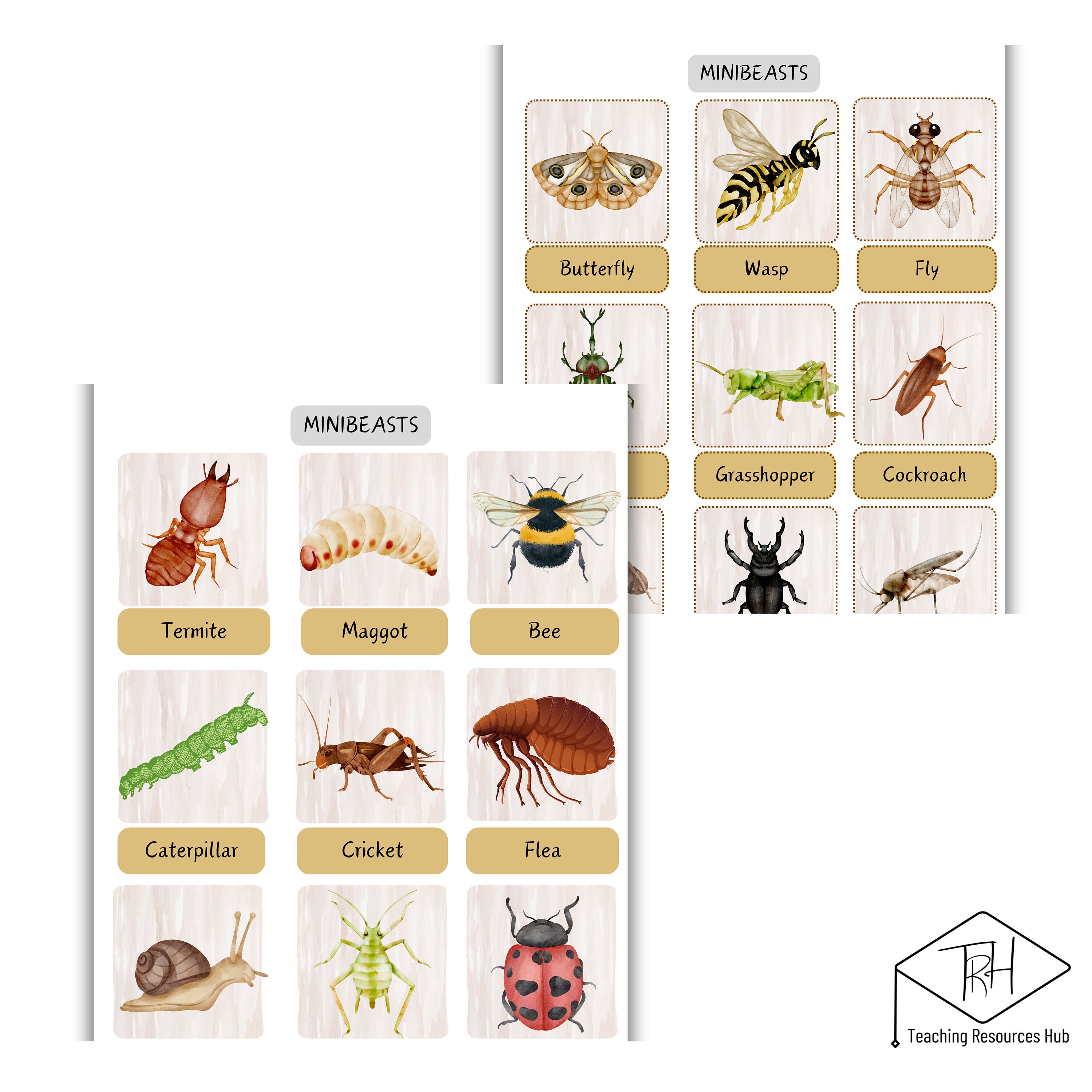 Minibeasts Learning Pack - Montessori Busy Book, Educational Prints ...