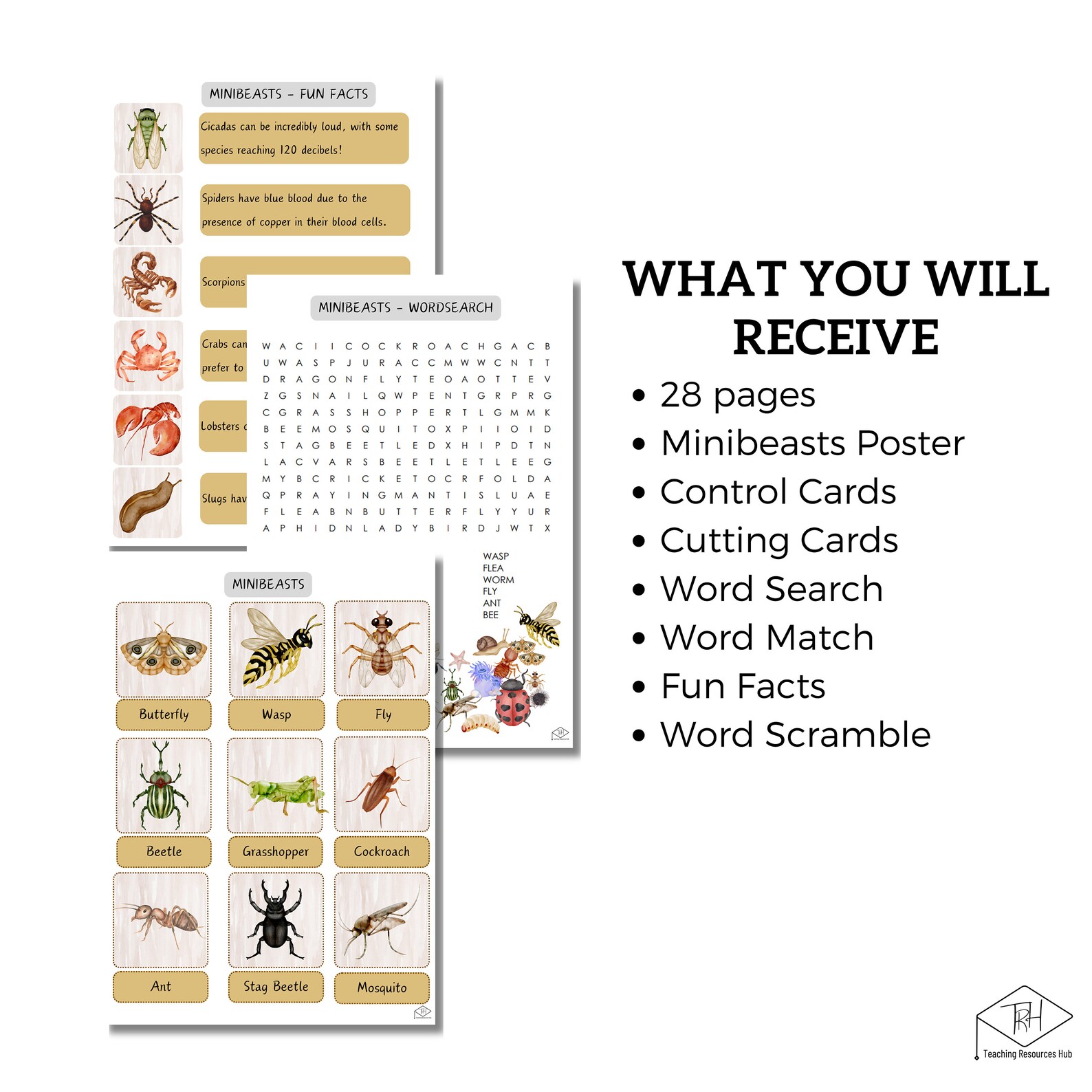 Minibeasts Learning Pack - Montessori Busy Book, Educational Prints ...