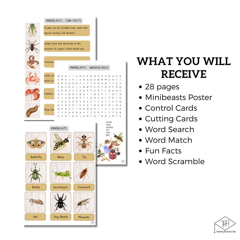 Minibeasts Learning Pack - Montessori Busy Book, Educational Prints ...