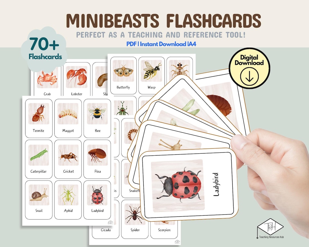 Minibeasts Toddler Flashcards Learning Pack - Montessori Materials ...