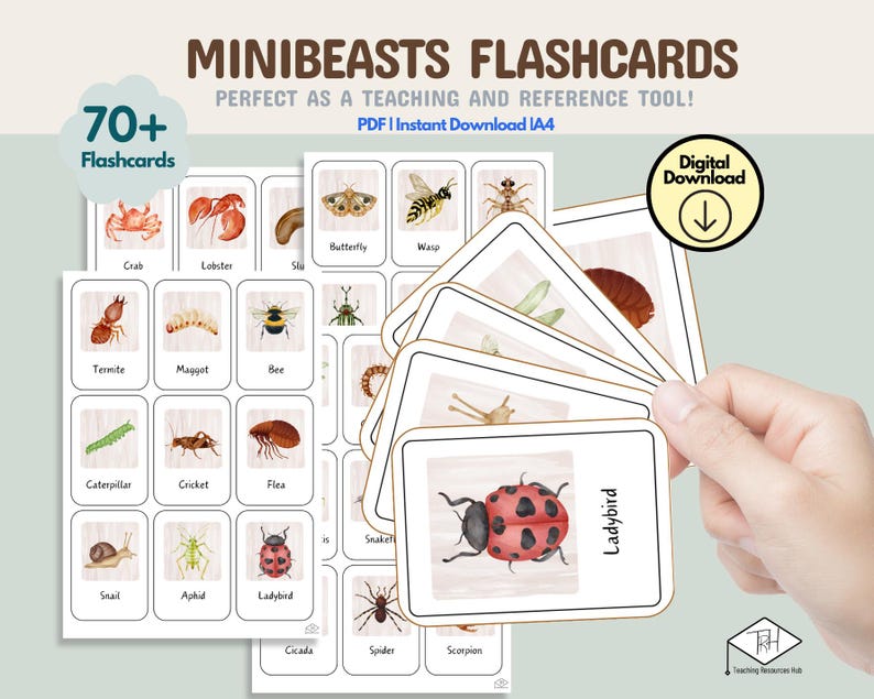 Minibeasts Toddler Flashcards Learning Pack - Montessori Materials ...