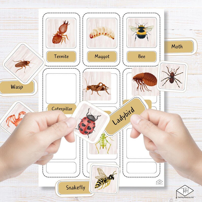 Minibeasts Toddler Flashcards Learning Pack - Montessori Materials ...