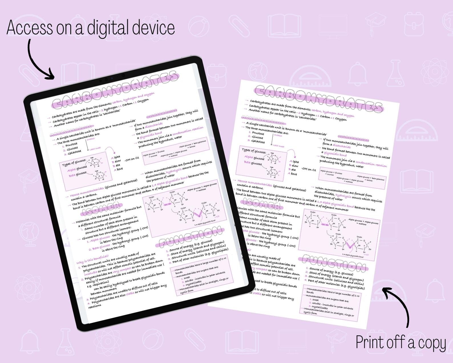 A Level Biology Notes: Biological Molecules - Carbohydrates - Etsy