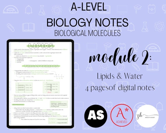A Level Biology Notes: Biological Molecules Lipids & Water - Etsy