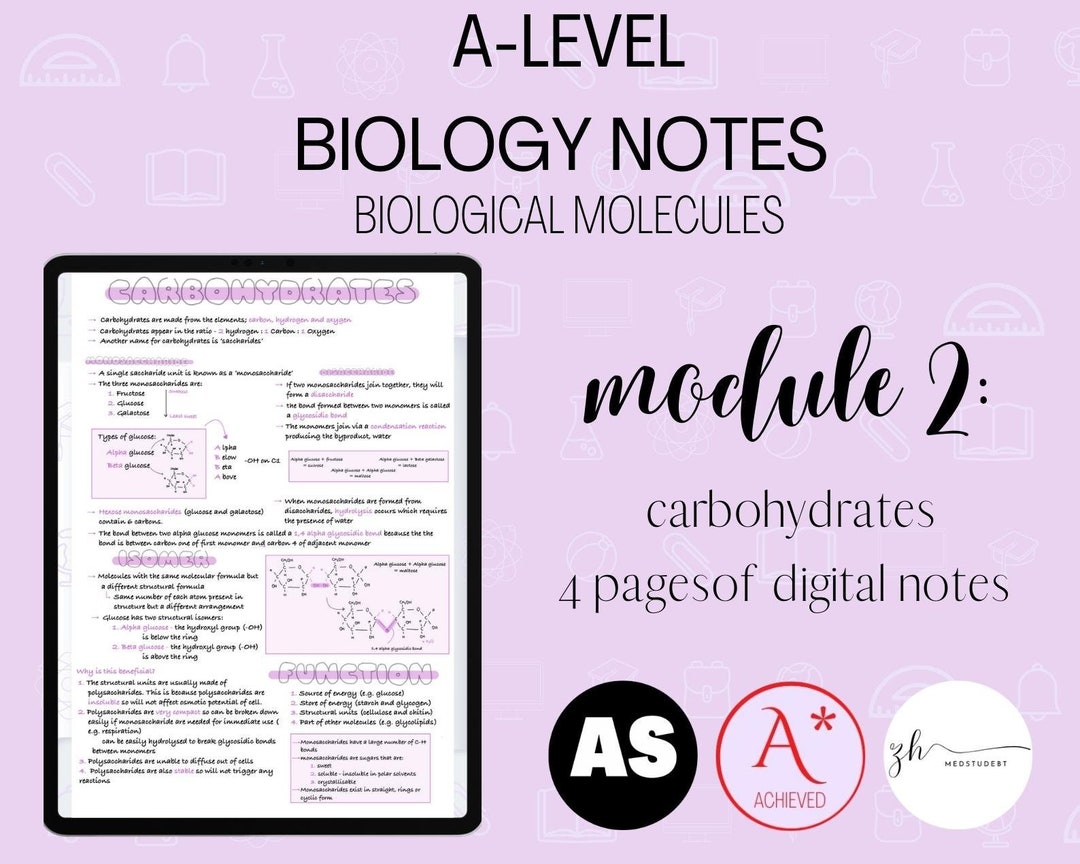 A Level Biology Notes: Biological Molecules - Carbohydrates - Etsy