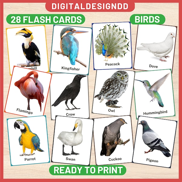 Bird Flash Cards - Etsy