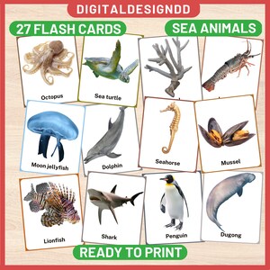 Sea Animals Flash Cards Montessori Cards Preschool Education Sea ...