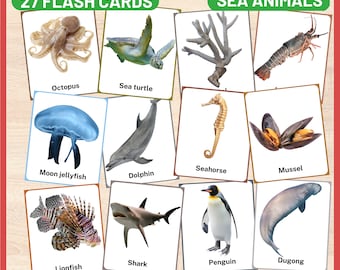 Animals Flash Cards Montessori Cards Preschool Education Flash - Etsy