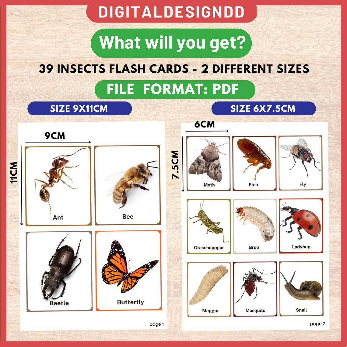 Printable Insect Flash Cards for Kids | Montessori Learning Cards ...
