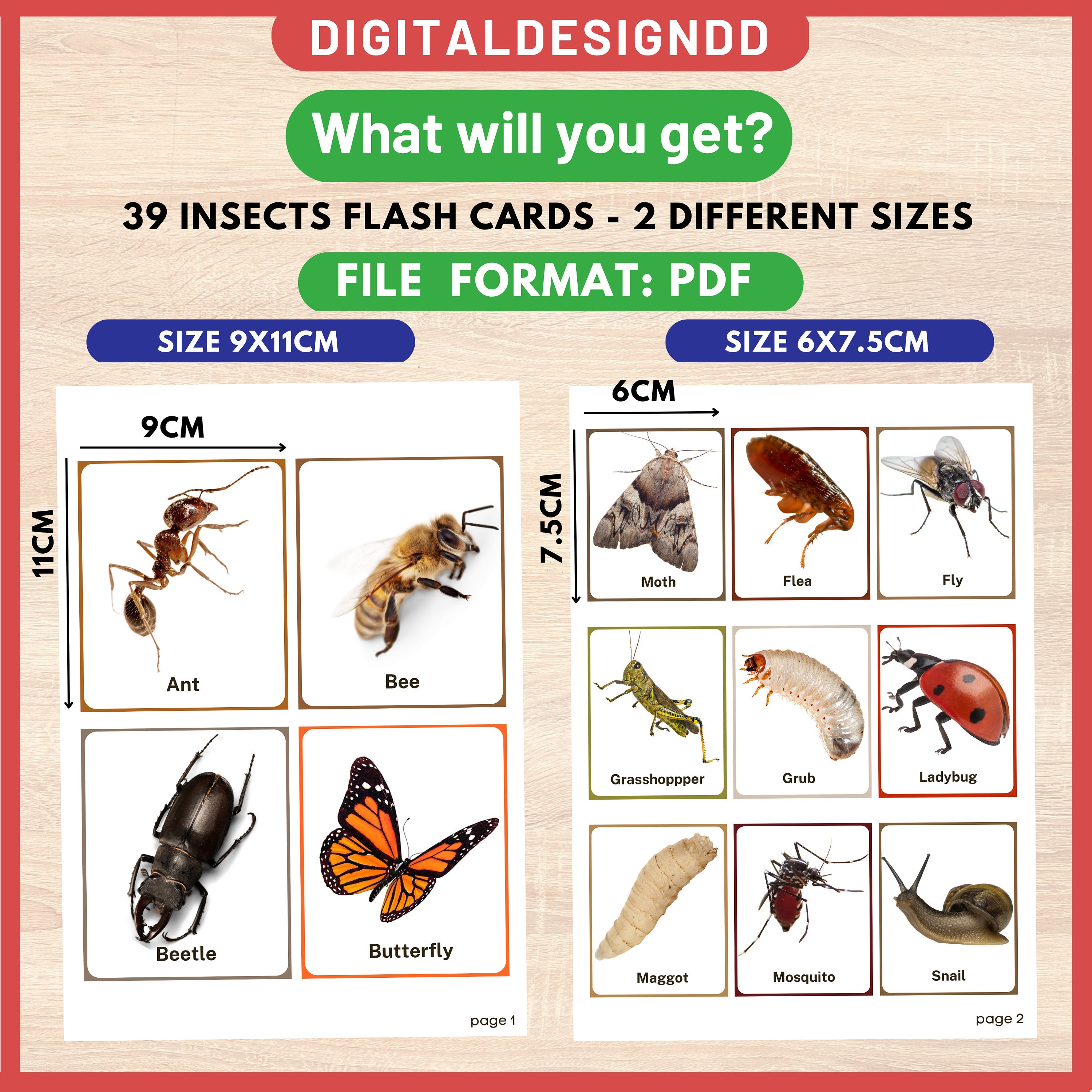 Printable Insect Flash Cards for Kids | Montessori Learning Cards ...