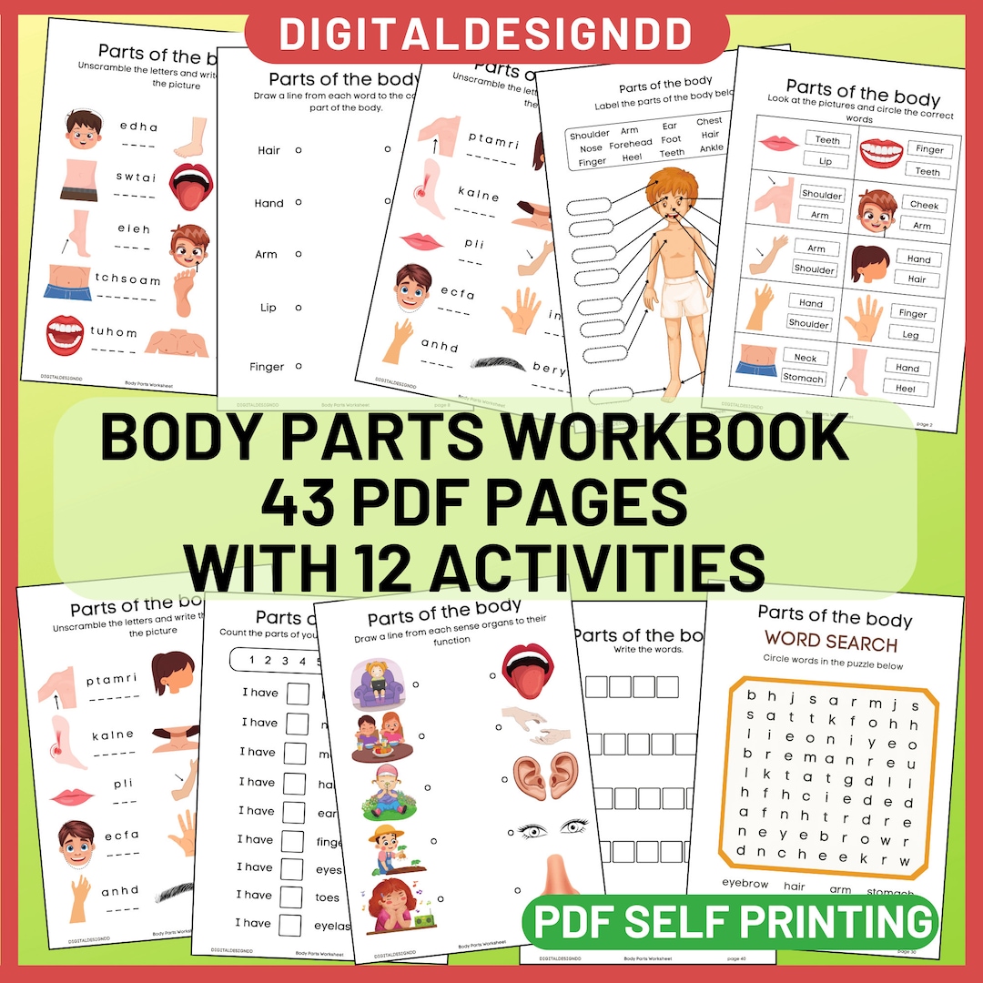 PDF Body Parts Worksheet for Toddler Preschool Kids - Etsy