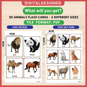 Animals Flash Cards Montessori Cards Preschool Education Flash Cards ...