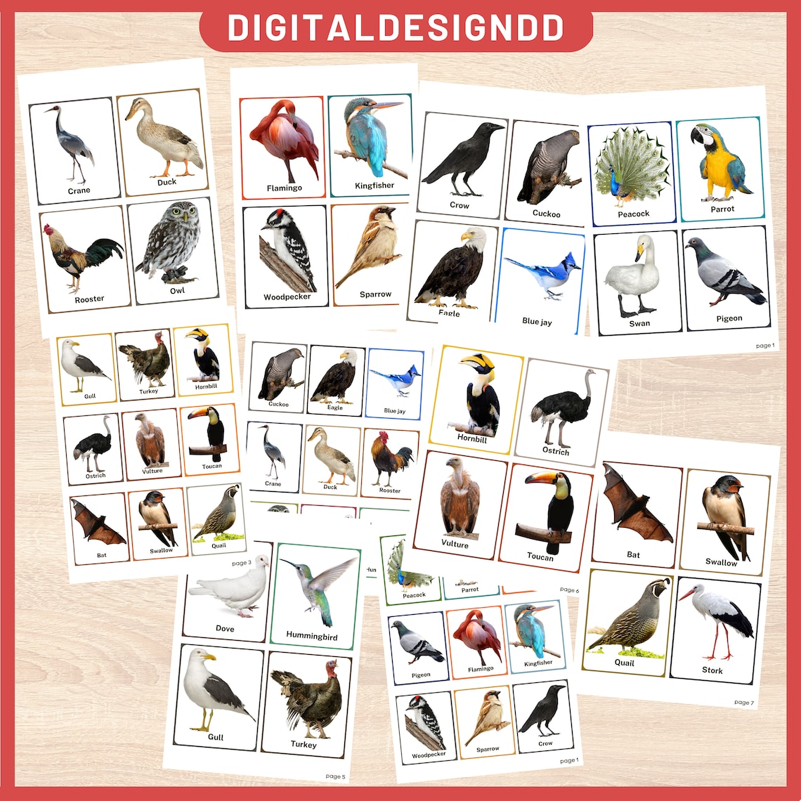 Birds Flash Cards Montessori Cards Preschool Education Flash Cards ...
