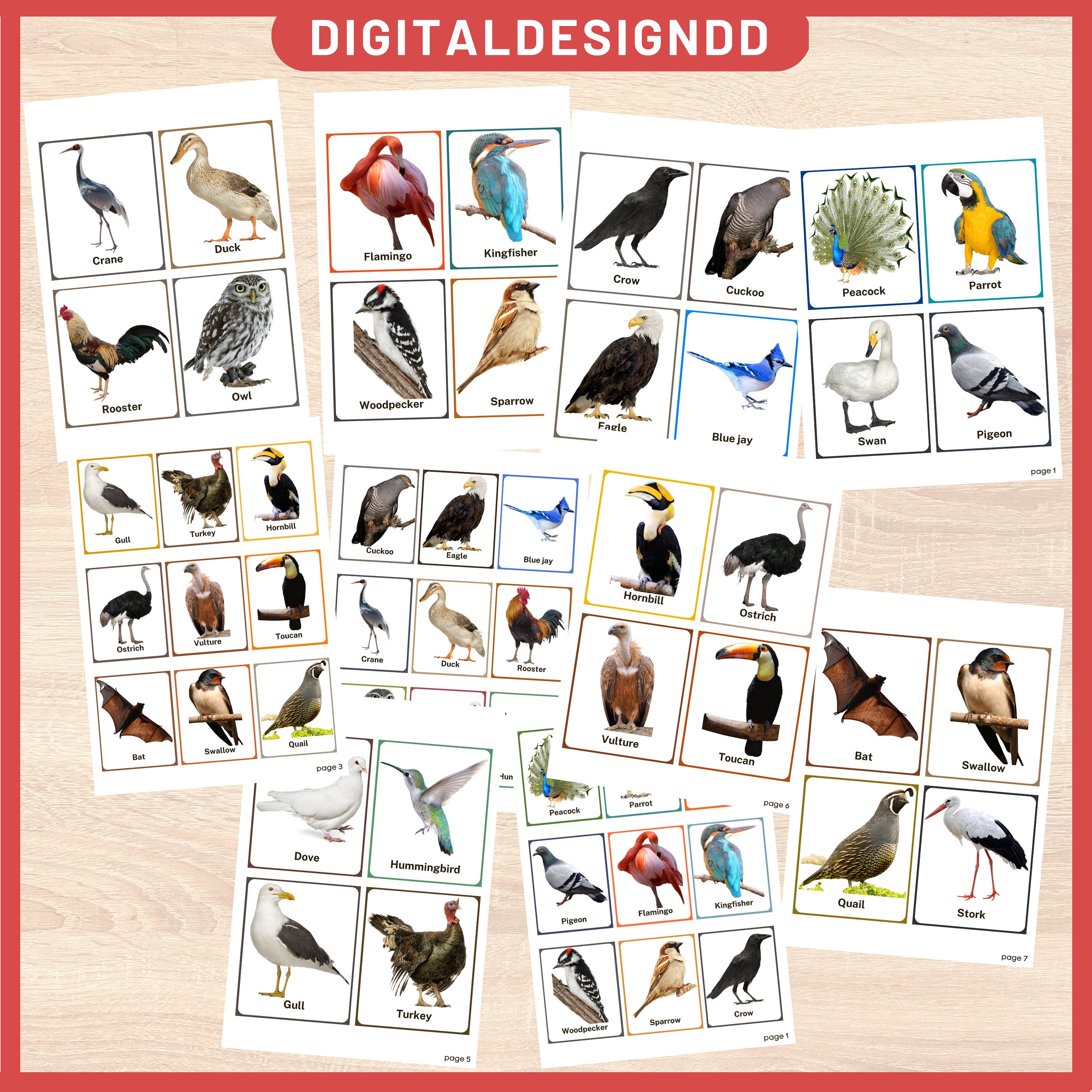 Birds Flash Cards Montessori Cards Preschool Education Flash Cards ...