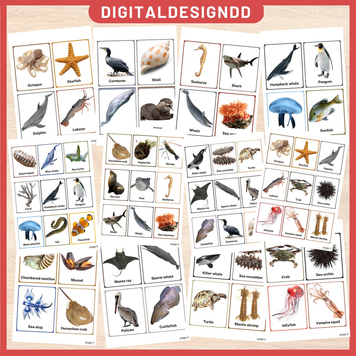 Sea Animals Flash Cards Montessori Cards Preschool Education Sea ...