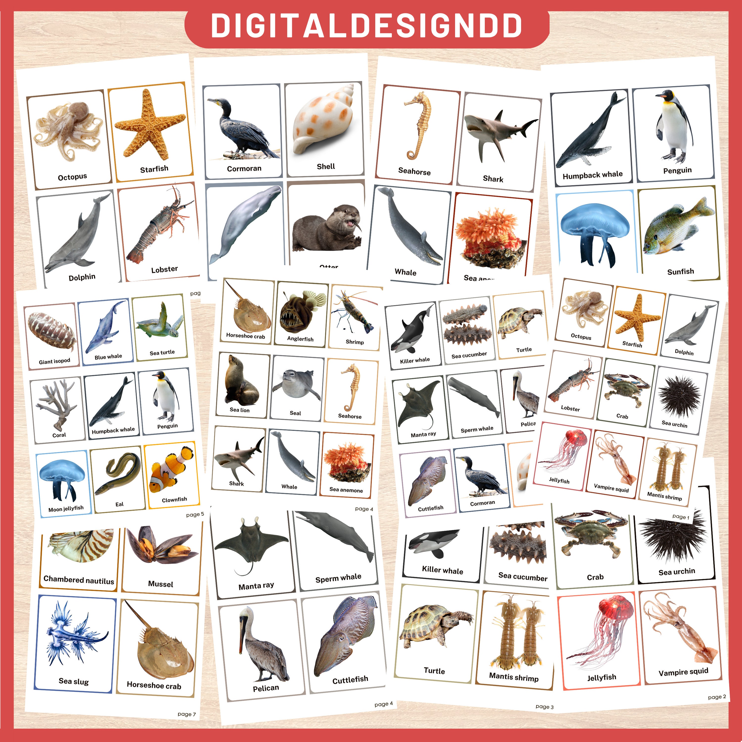 Sea Animals Flash Cards Montessori Cards Preschool Education Sea ...