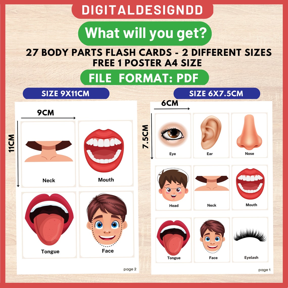 Body Parts Flash Cards: Montessori Preschool Education (printable) - Etsy