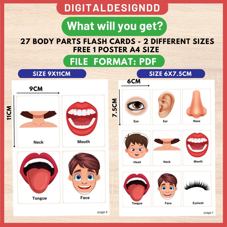 Body Parts Flash Cards: Montessori Preschool Education (printable) - Etsy
