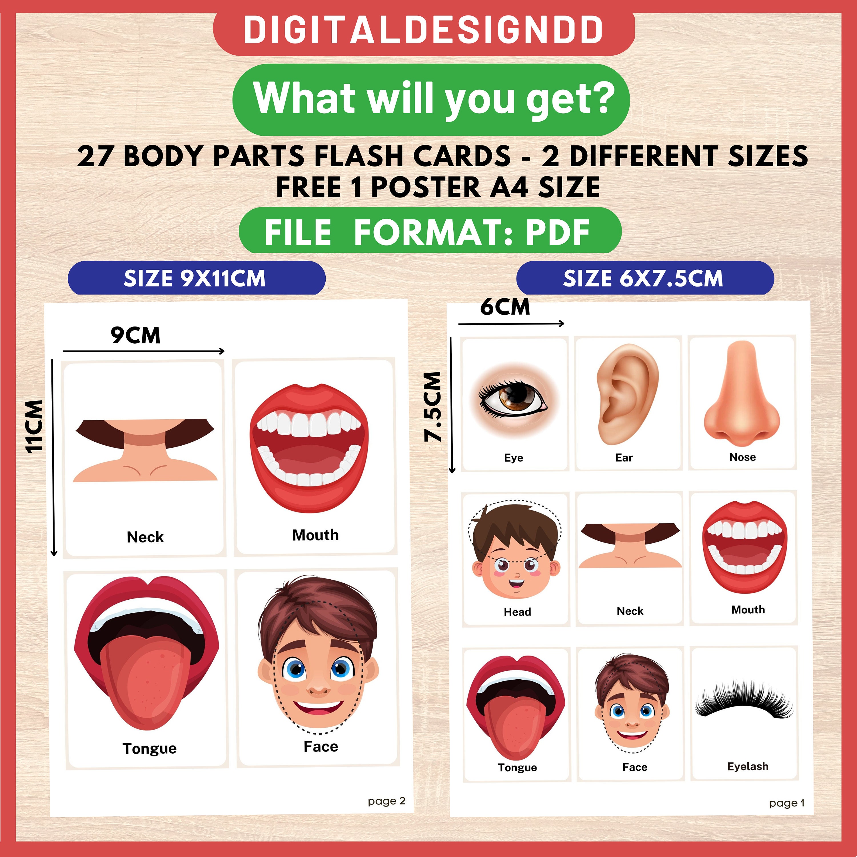 Body Parts Flash Cards: Montessori Preschool Education (printable) - Etsy