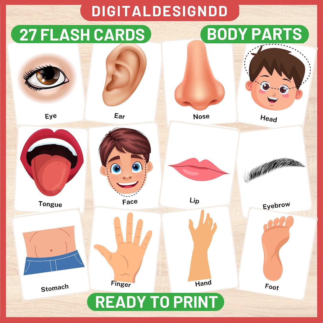 Body Parts Flash Cards Montessori Cards Preschool Education Flash Cards ...