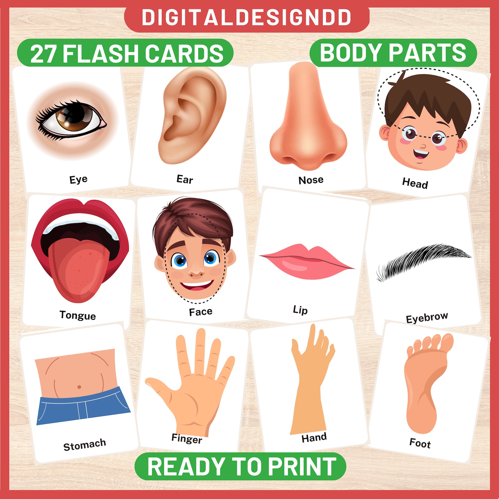 Body Parts Flash Cards Montessori Cards Preschool Education Flash Cards ...