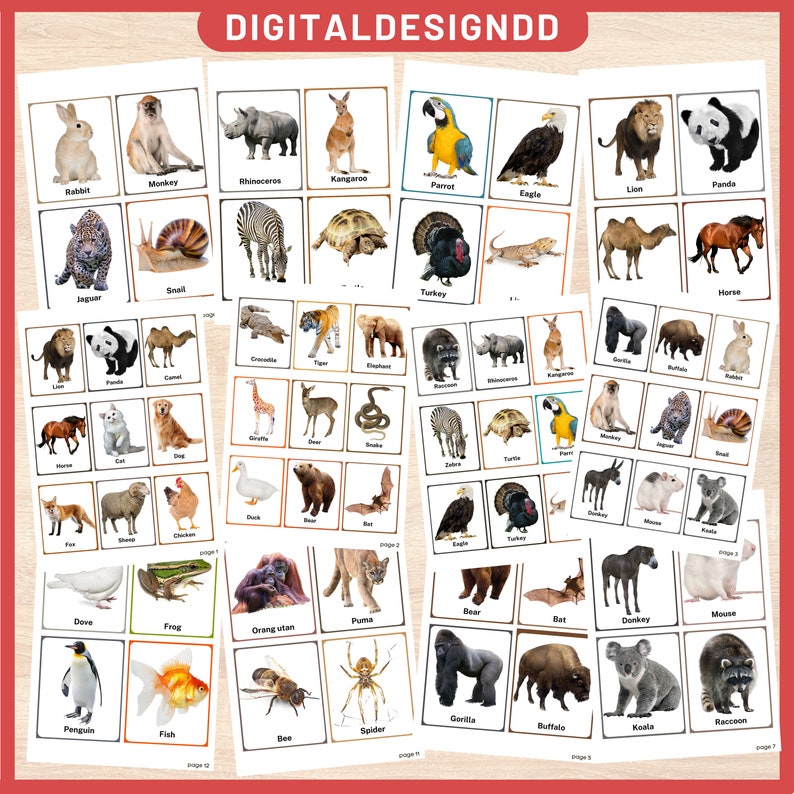 Animals Flash Cards Montessori Cards Preschool Education Flash Cards ...