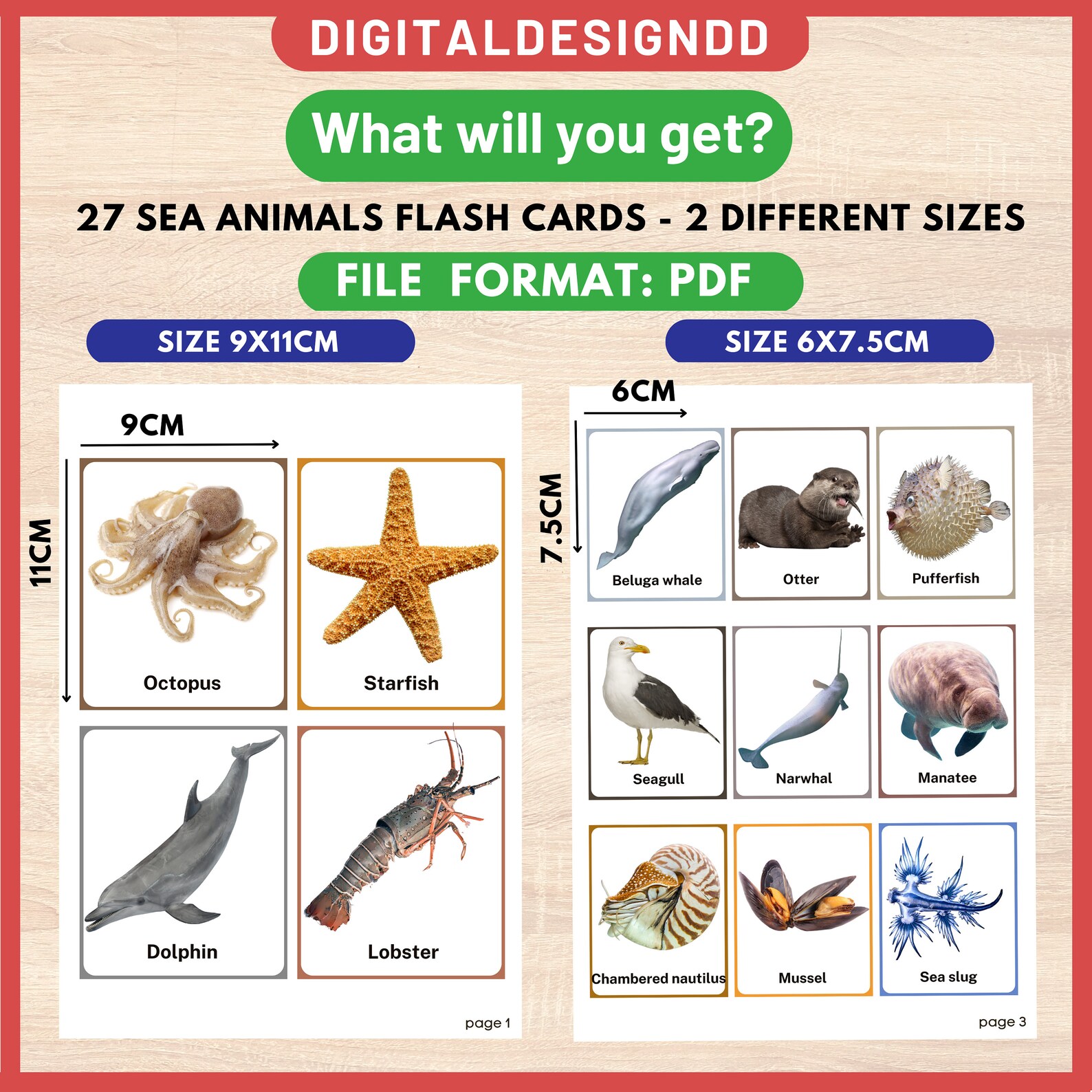 Sea Animals Flash Cards Montessori Cards Preschool Education Sea ...