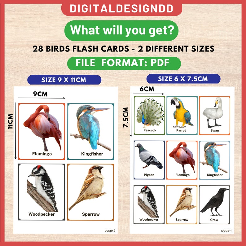 Birds Flash Cards Montessori Cards Preschool Education Flash Cards ...