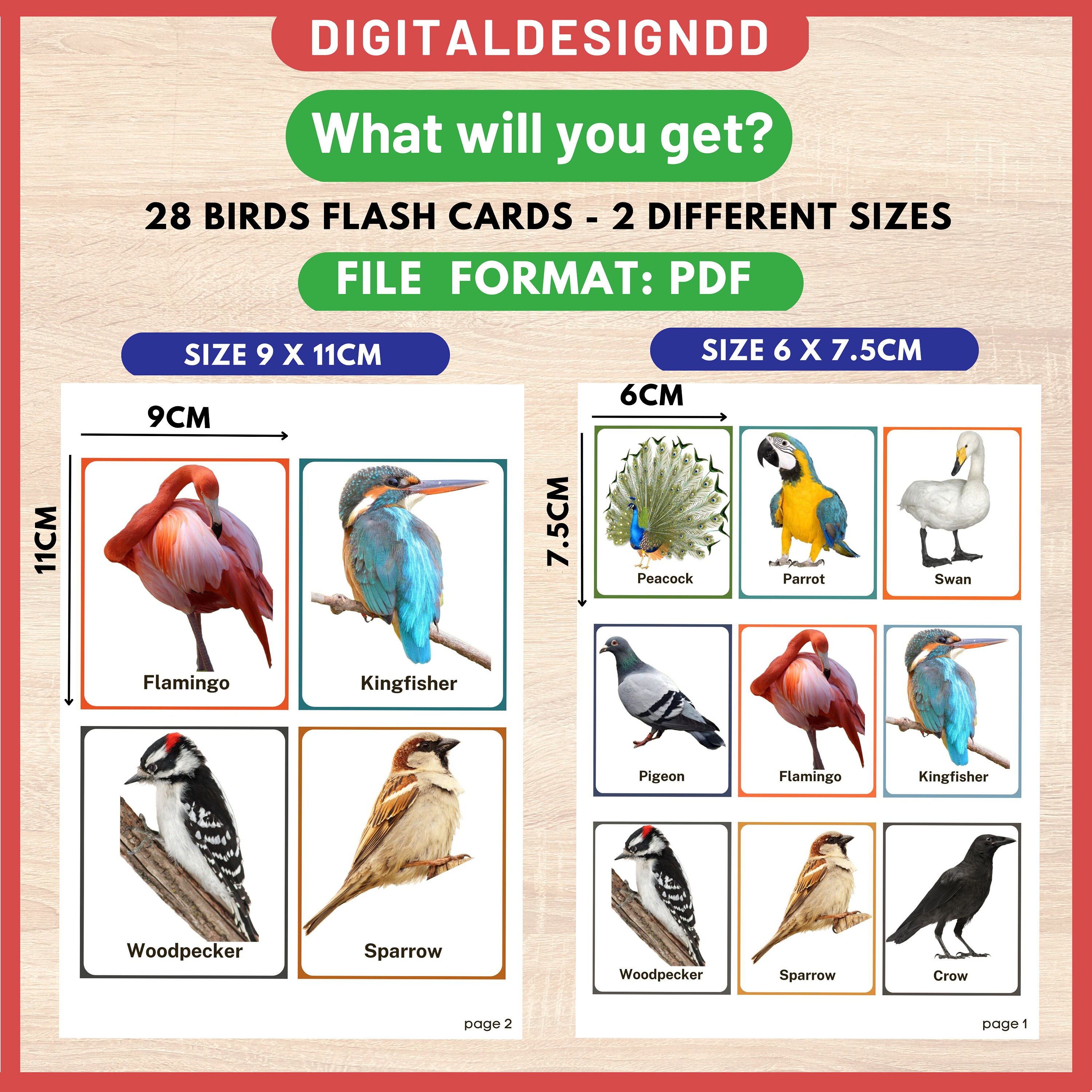 Birds Flash Cards Montessori Cards Preschool Education Flash Cards ...