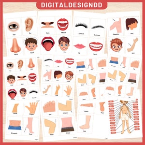 Body Parts Flash Cards: Montessori Preschool Education (printable) - Etsy