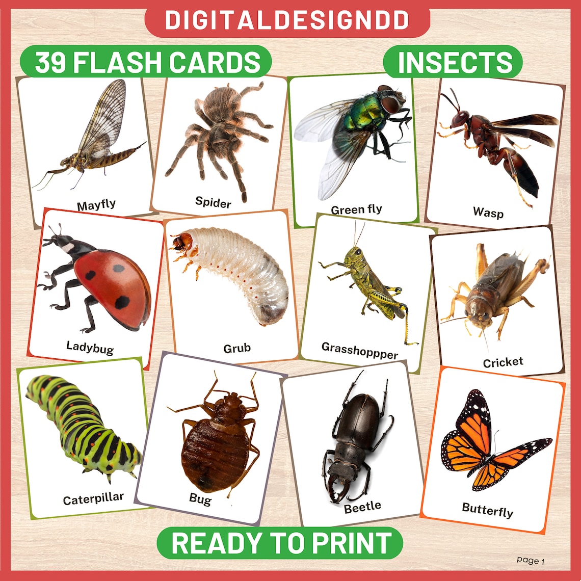 Printable Insect Flash Cards for Kids | Montessori Learning Cards ...