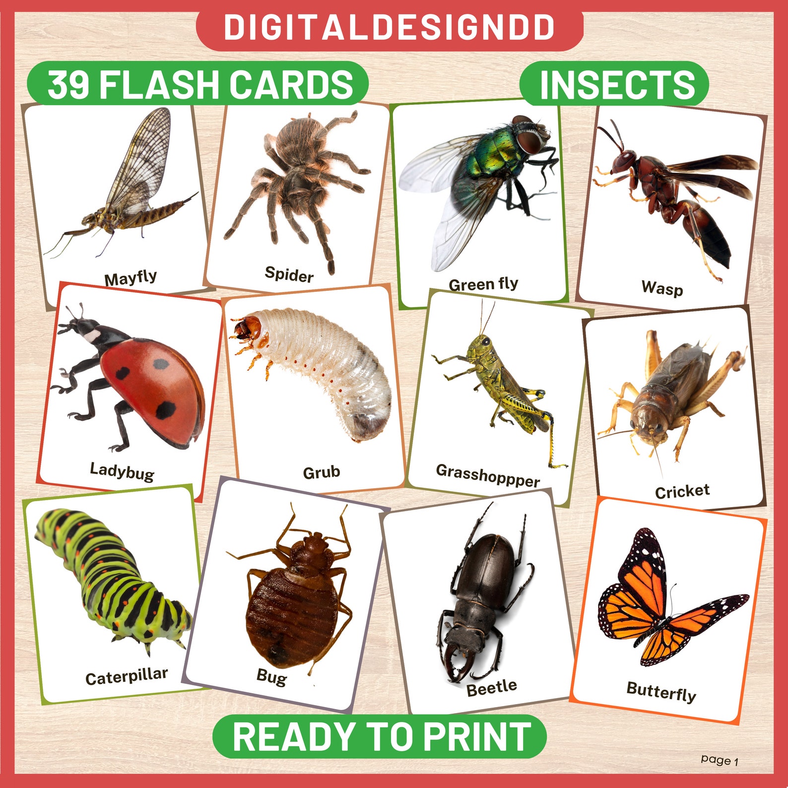 Printable Insect Flash Cards for Kids | Montessori Learning Cards ...