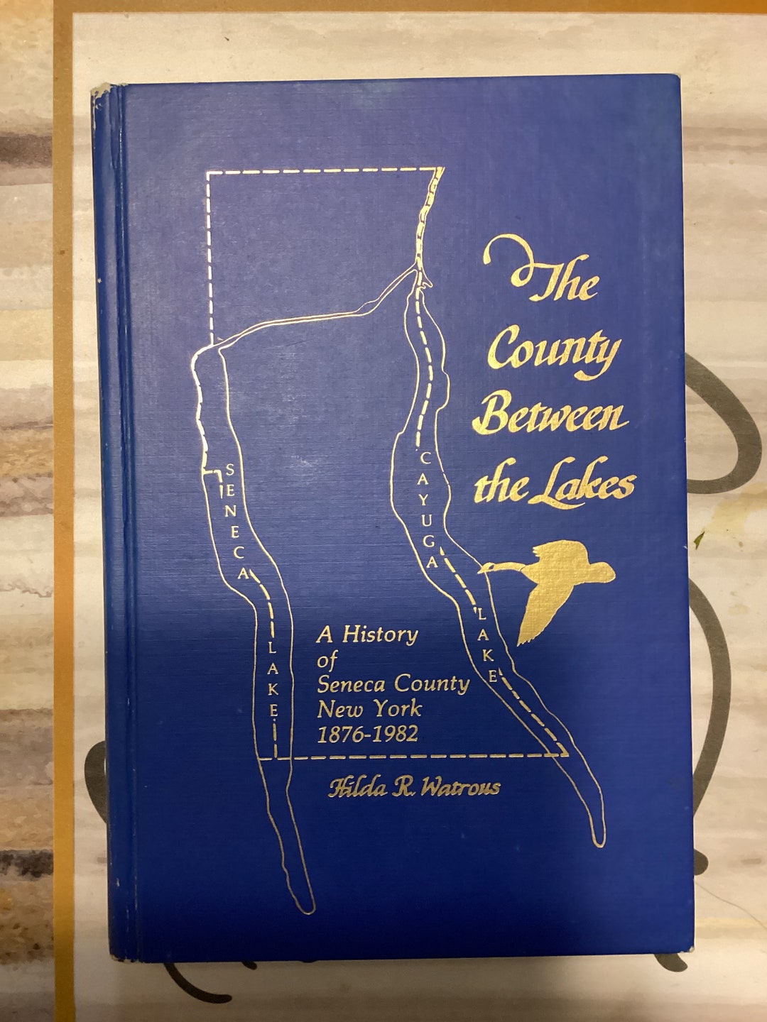 The COUNTY BETWEEN the LAKES A Public History of Seneca County New York ...