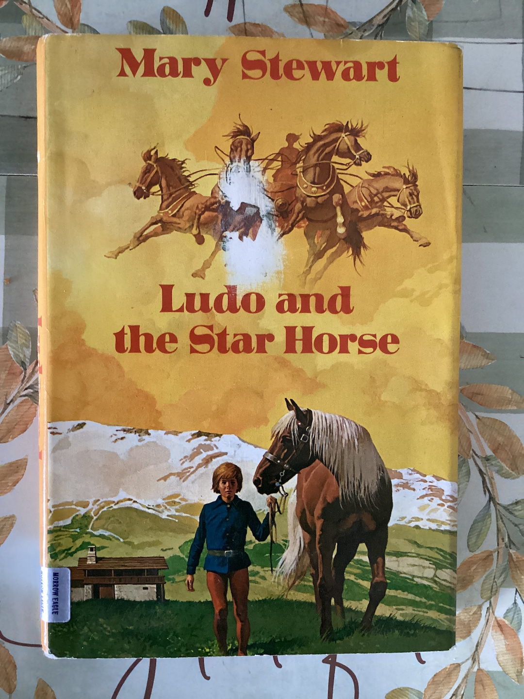 Ludo and the Star Horse: Vintage Children's Hardcover Book by Mary ...