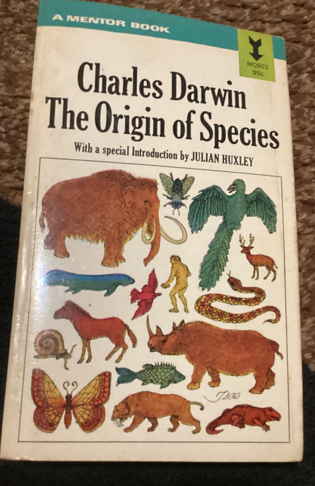 1958 "charles DARWIN: the ORIGIN of Species" Paperback. Pocket Sized ...