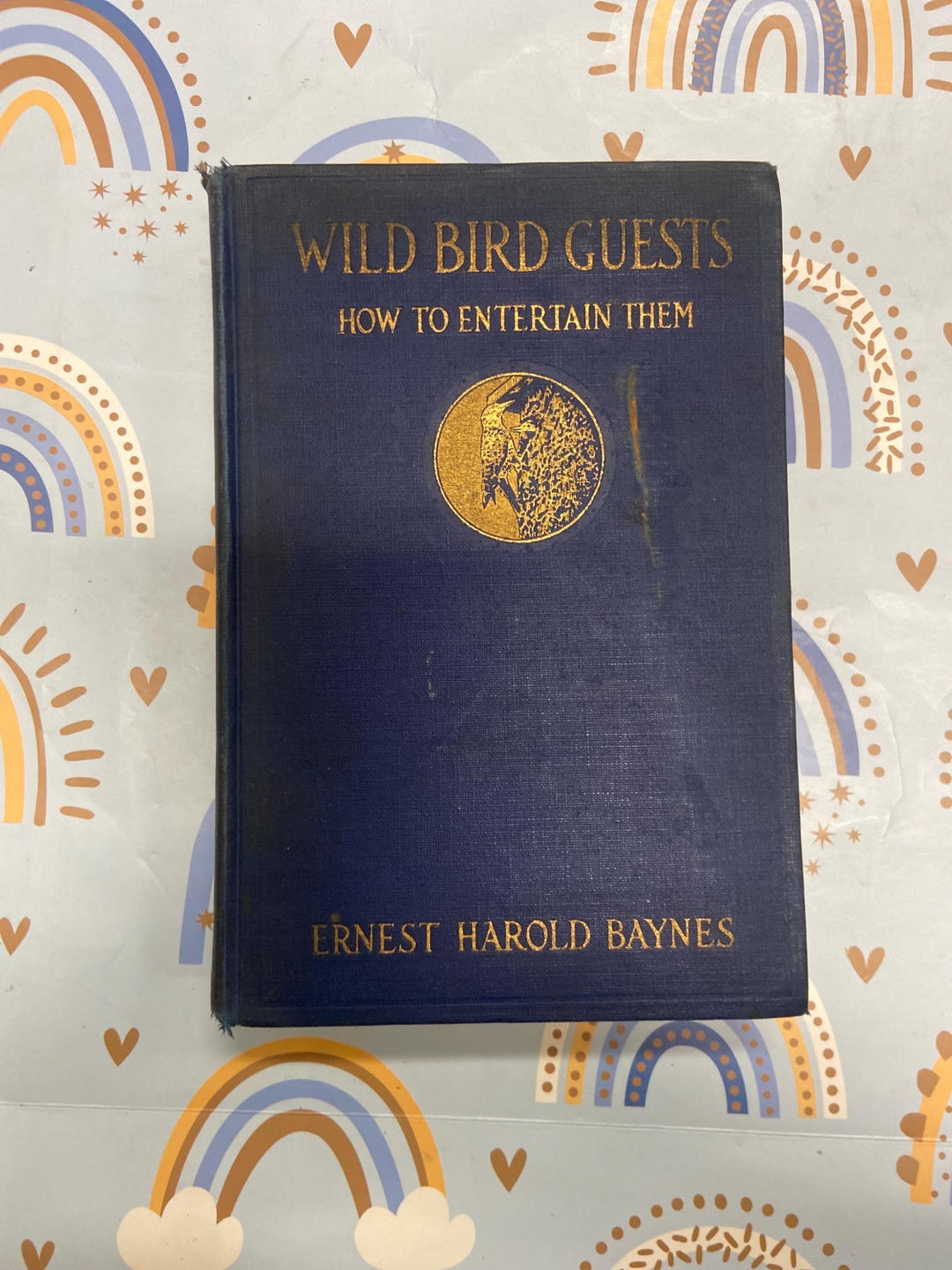 Antique Birdwatching Book: Wild Bird Guests, 1915 1st Edition - Etsy