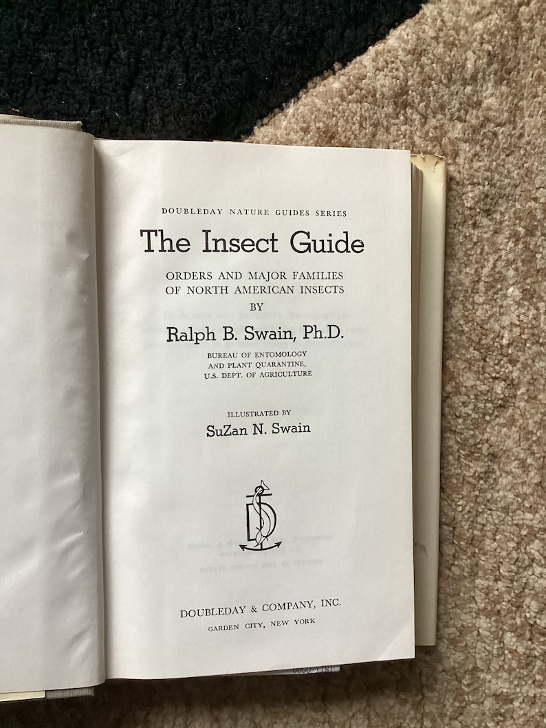 Los ÓRDENES GUÍA DE INSECTOS y las principales familias de insectos ...