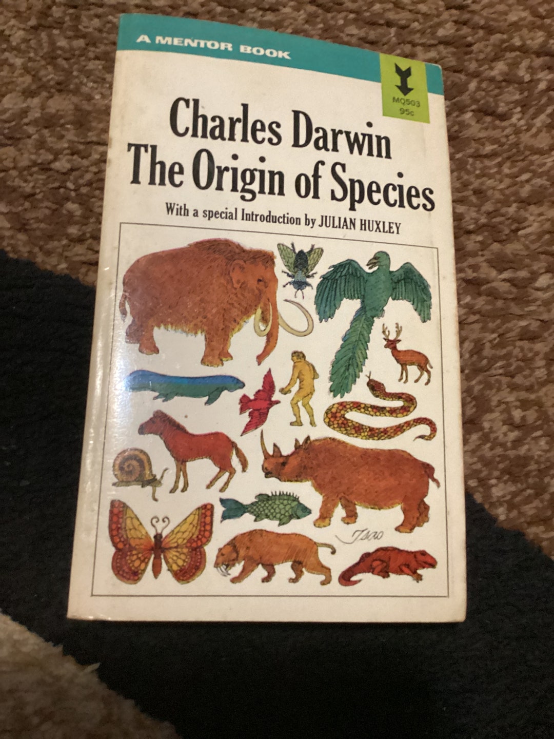 1958 charles DARWIN: the ORIGIN of Species Paperback. Pocket Sized ...