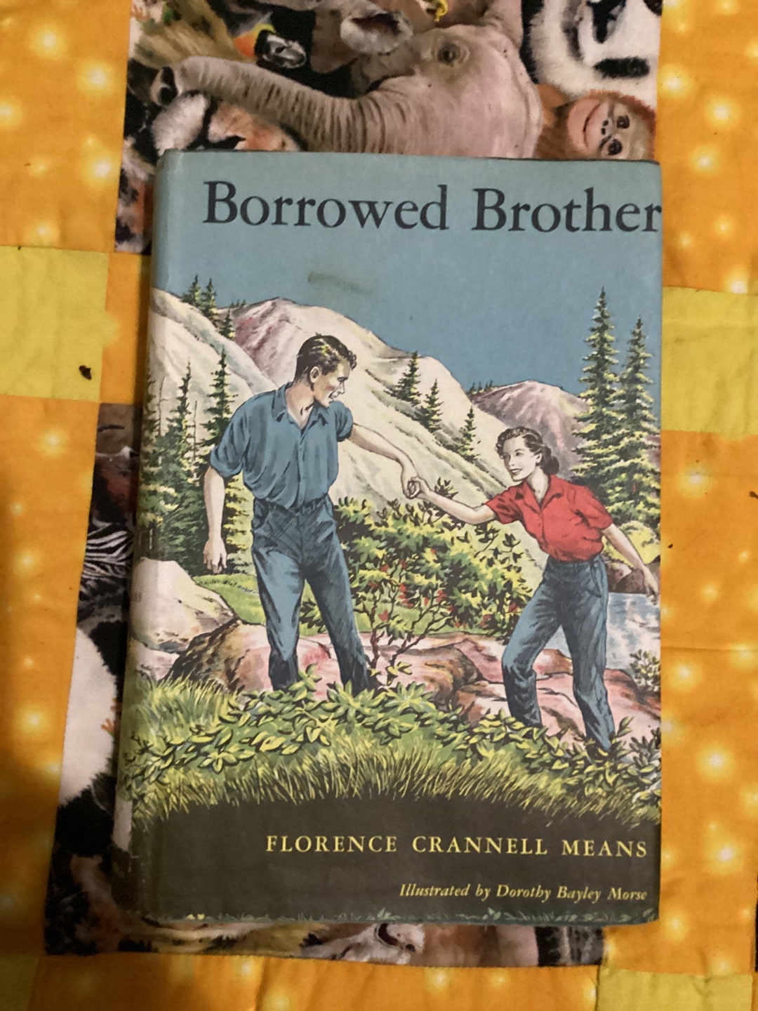 Borrowed Brother: 1958 Vintage Hardcover Book, Illustrated - Etsy