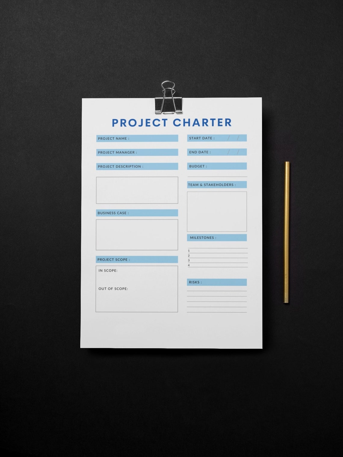 Project Charter Printable Template PDF Download - Etsy