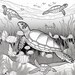Sea Turtles: 2 Page Coloring Book for Adults and Children. Grayscale ...