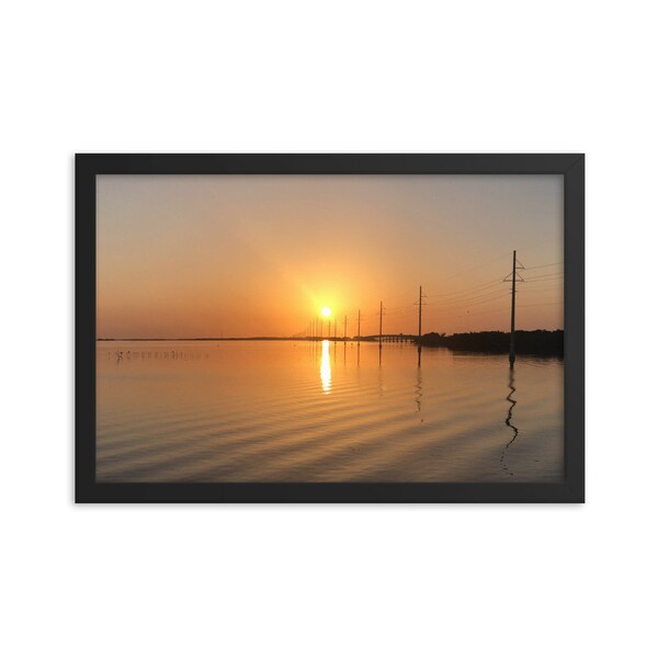 Sea Turtles: 2 Page Coloring Book for Adults and Children. Grayscale ...