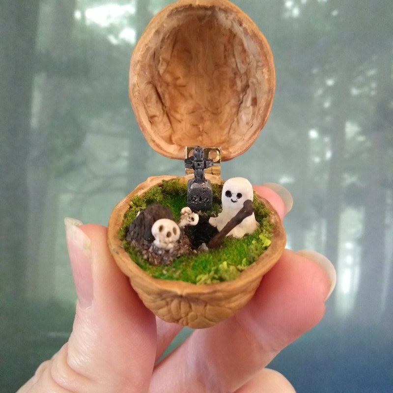 Walnut Shell Diorama - Etsy