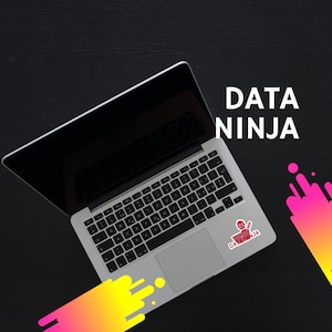 Data Ninja Sticker Gift for Data Analyst,data Scientist Sticker,data ...
