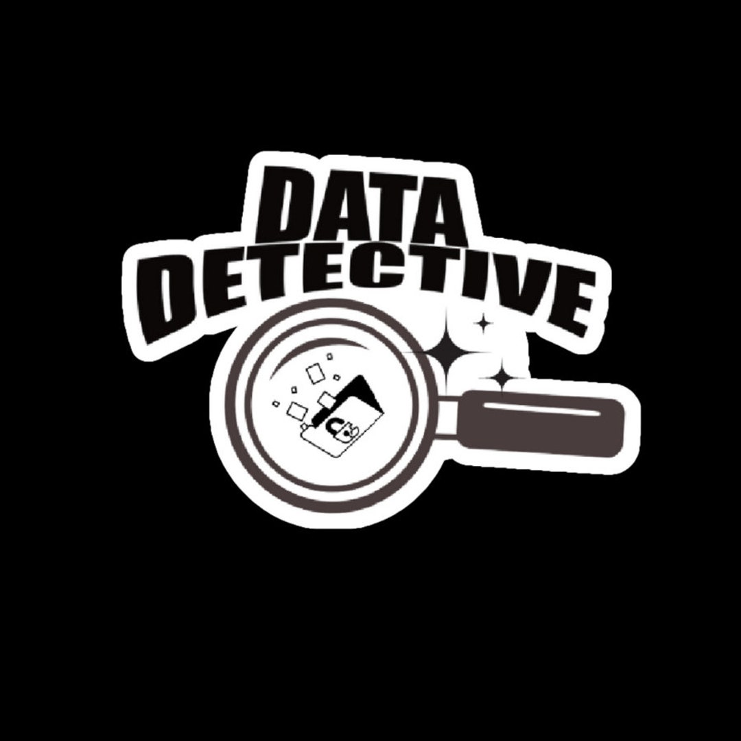 Data Detective Sticker Data Scientist Sticker Data Queen - Etsy